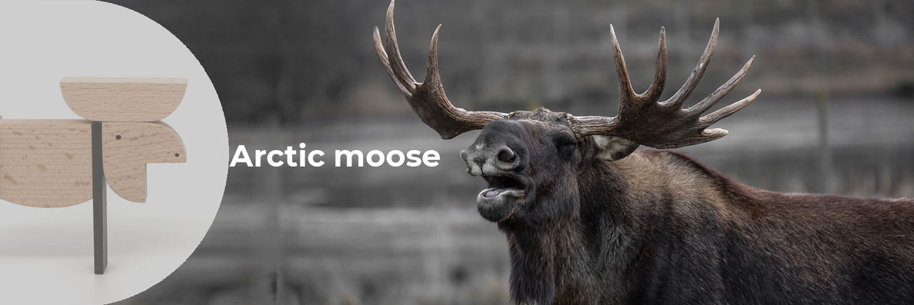 Curious facts about Arctic moose – ESNAF TOYS®